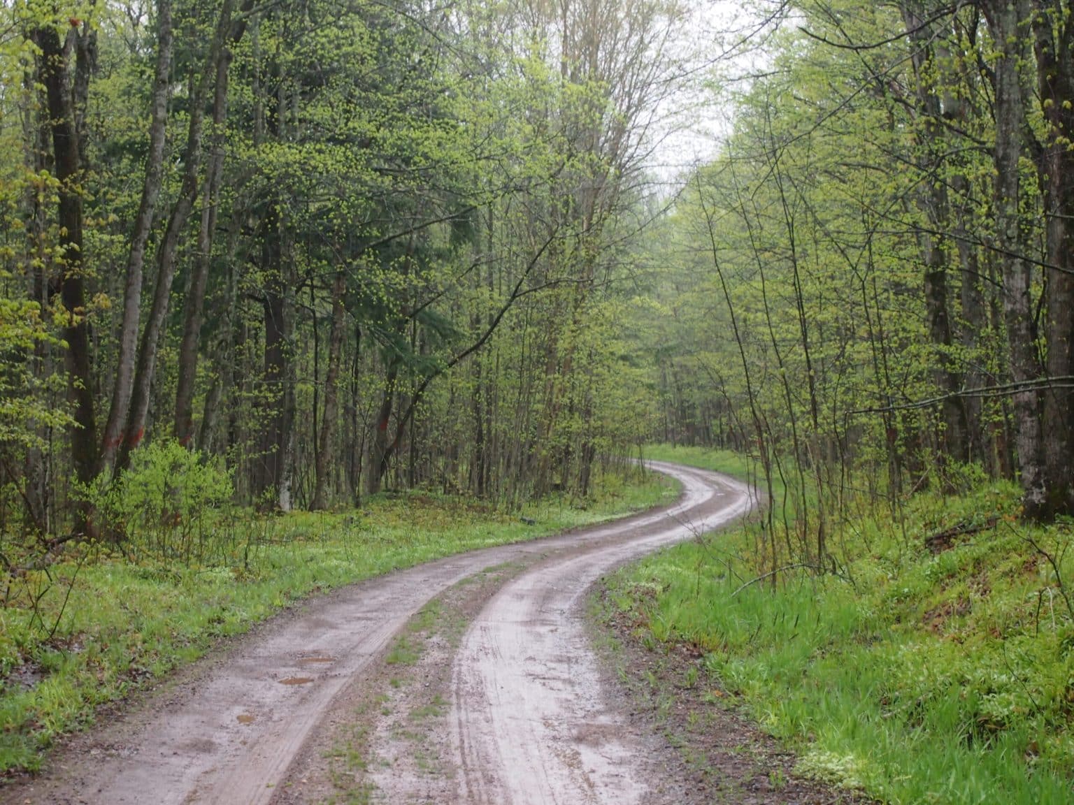 Forests to Visit - Michigan Forest Association